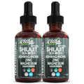 Clean Nutraceuticals Shilajit drops for energy