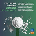 CleanForm clean energy powder with BHB