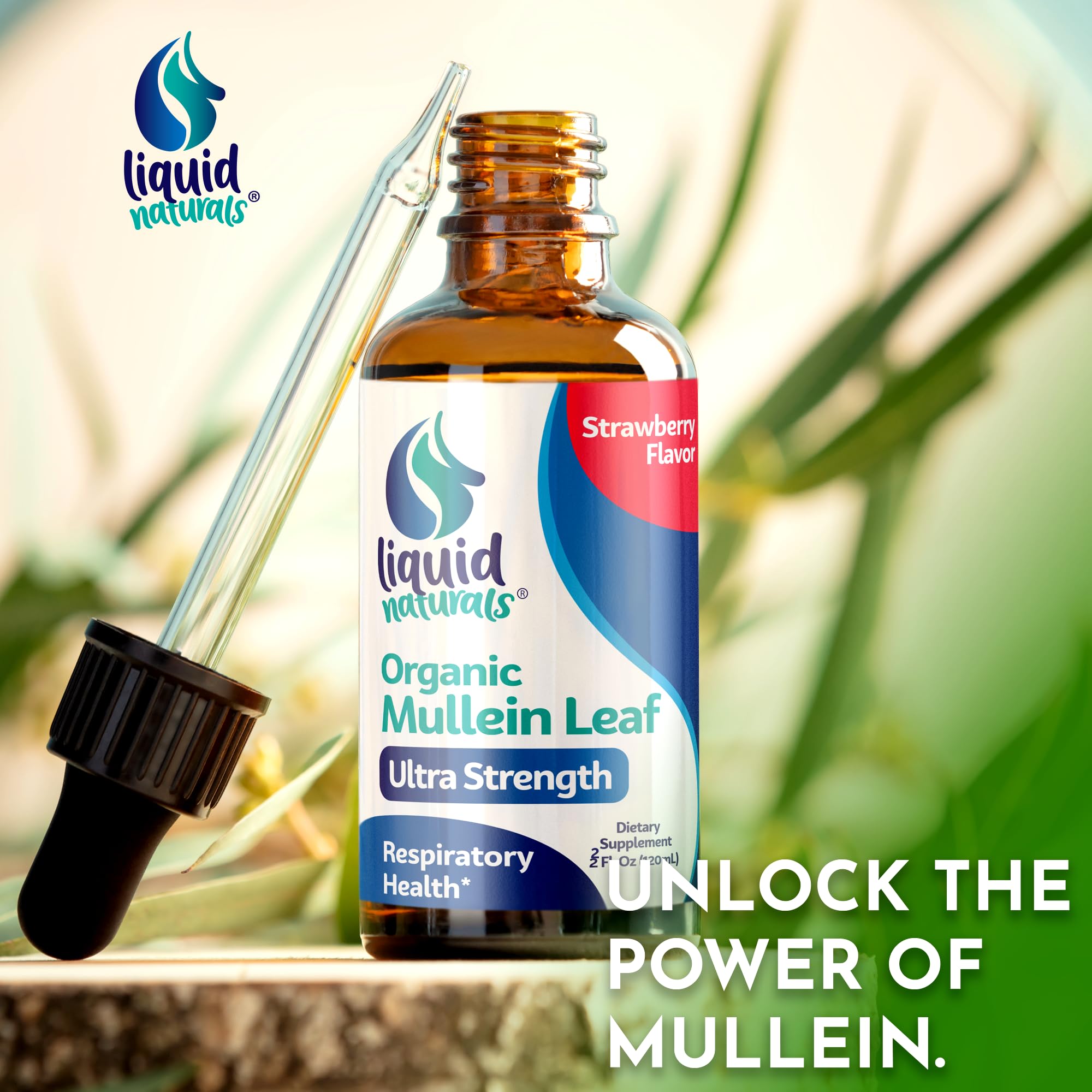 cleanse lungs with mullein extract
