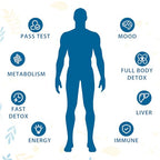 cleanse your body with detox tea