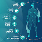 cleanse your body with MythoTecq