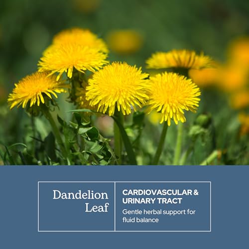 cleansing herbal capsules for wellness