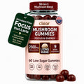 Clear Lion's Mane gummies for focus