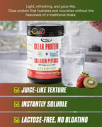 Clear protein powder with added collagen