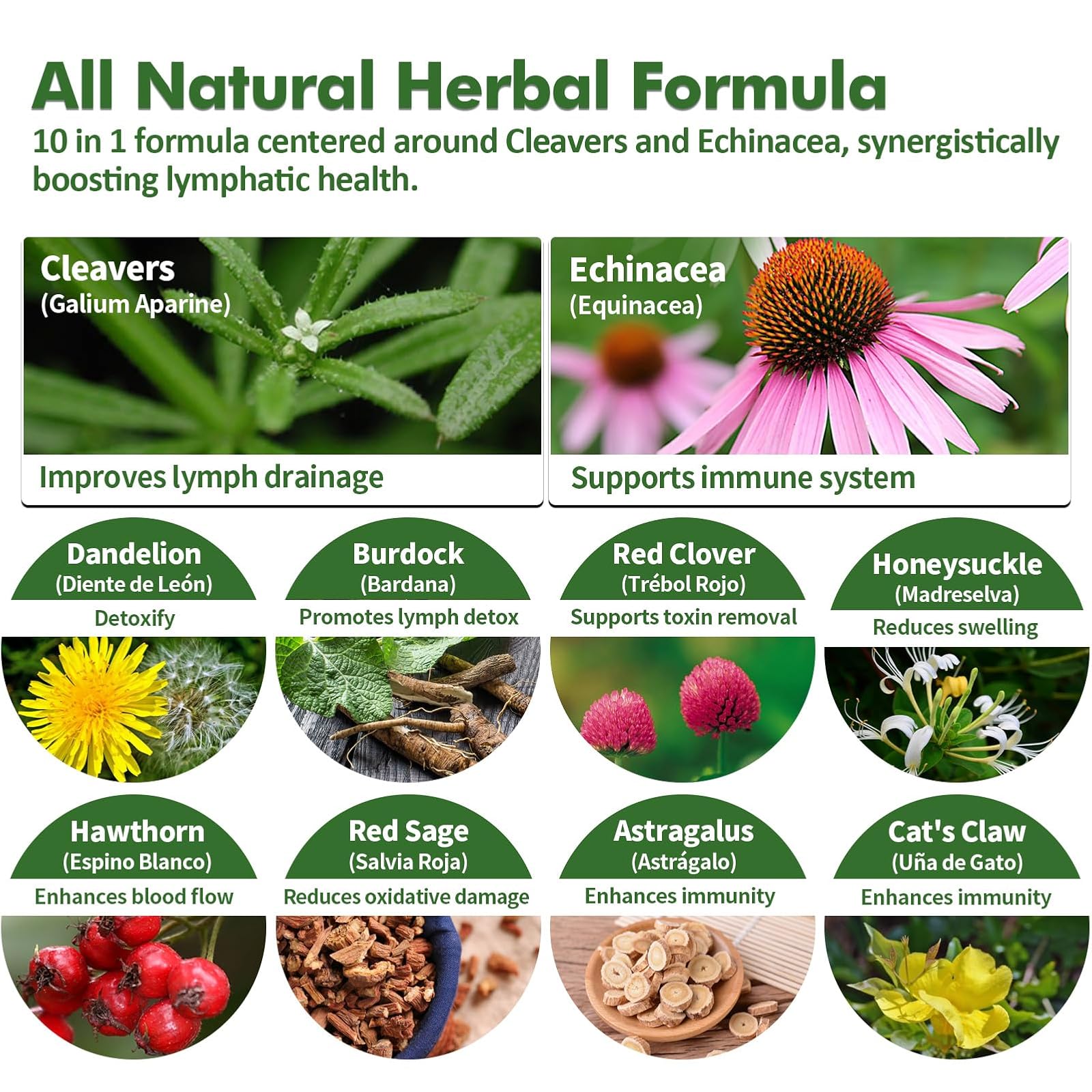 cleavers detox tea for cleansing
