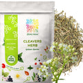 Cleavers Herb Galium aparine tea