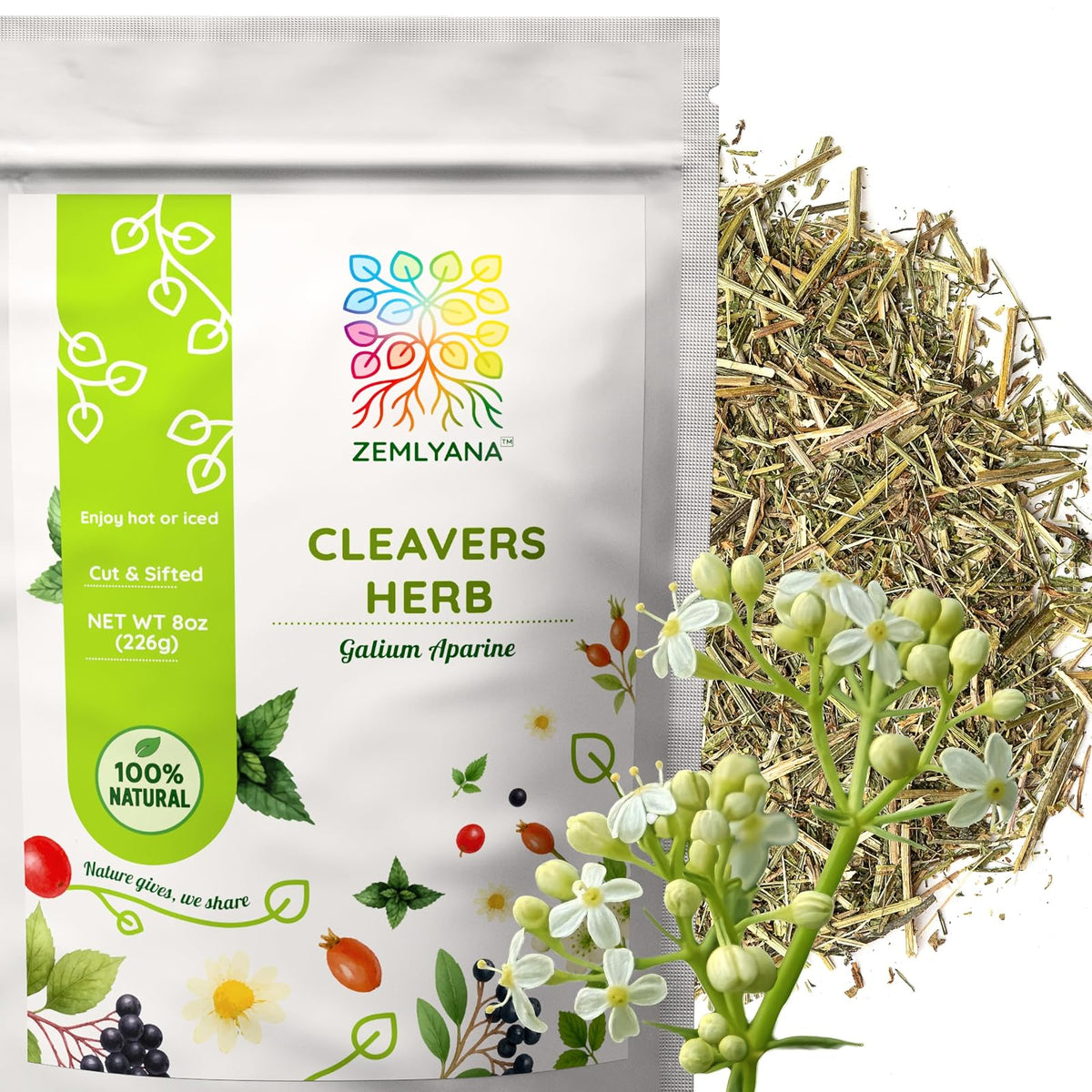 Cleavers Herb Galium aparine tea