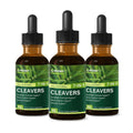 Cleavers lymphatic drainage herbal tincture