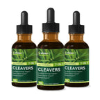 Cleavers lymphatic drainage herbal tincture