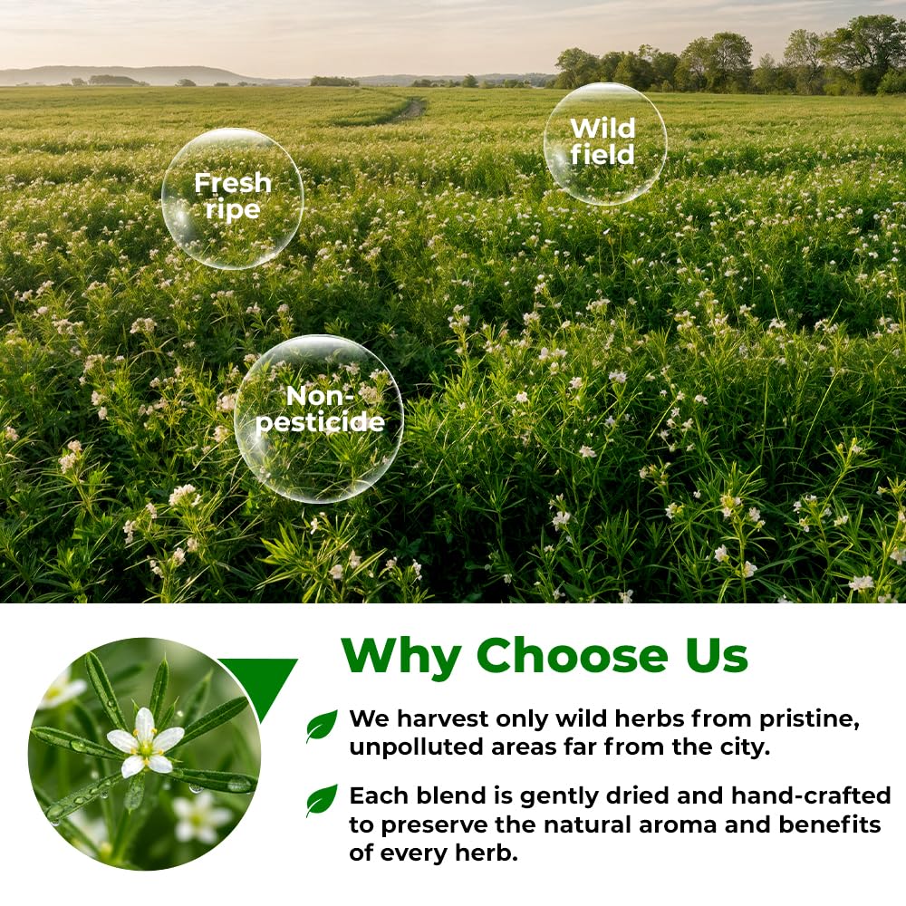 cleavers tea for daily hydration