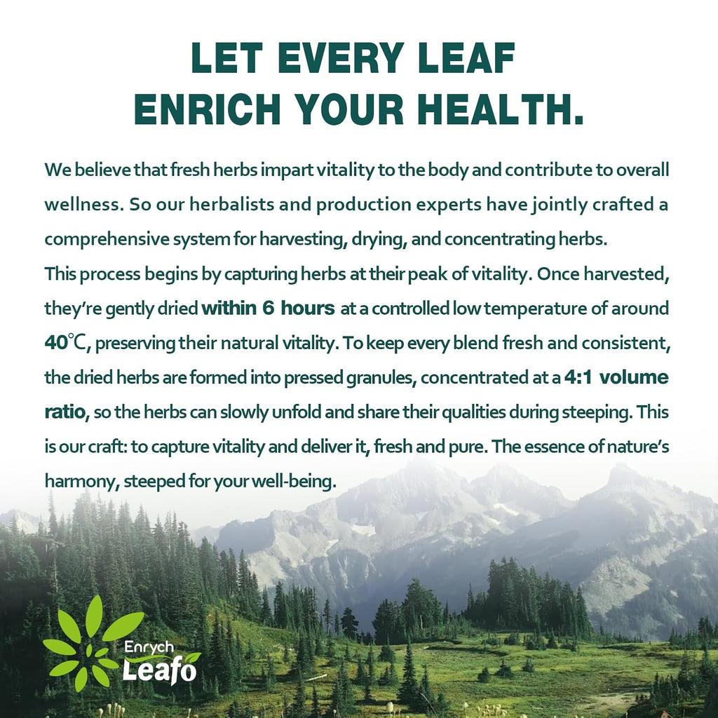 cleavers tea for daily hydration
