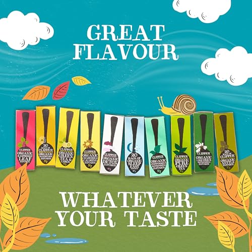 Clipper Fairtrade green tea selection