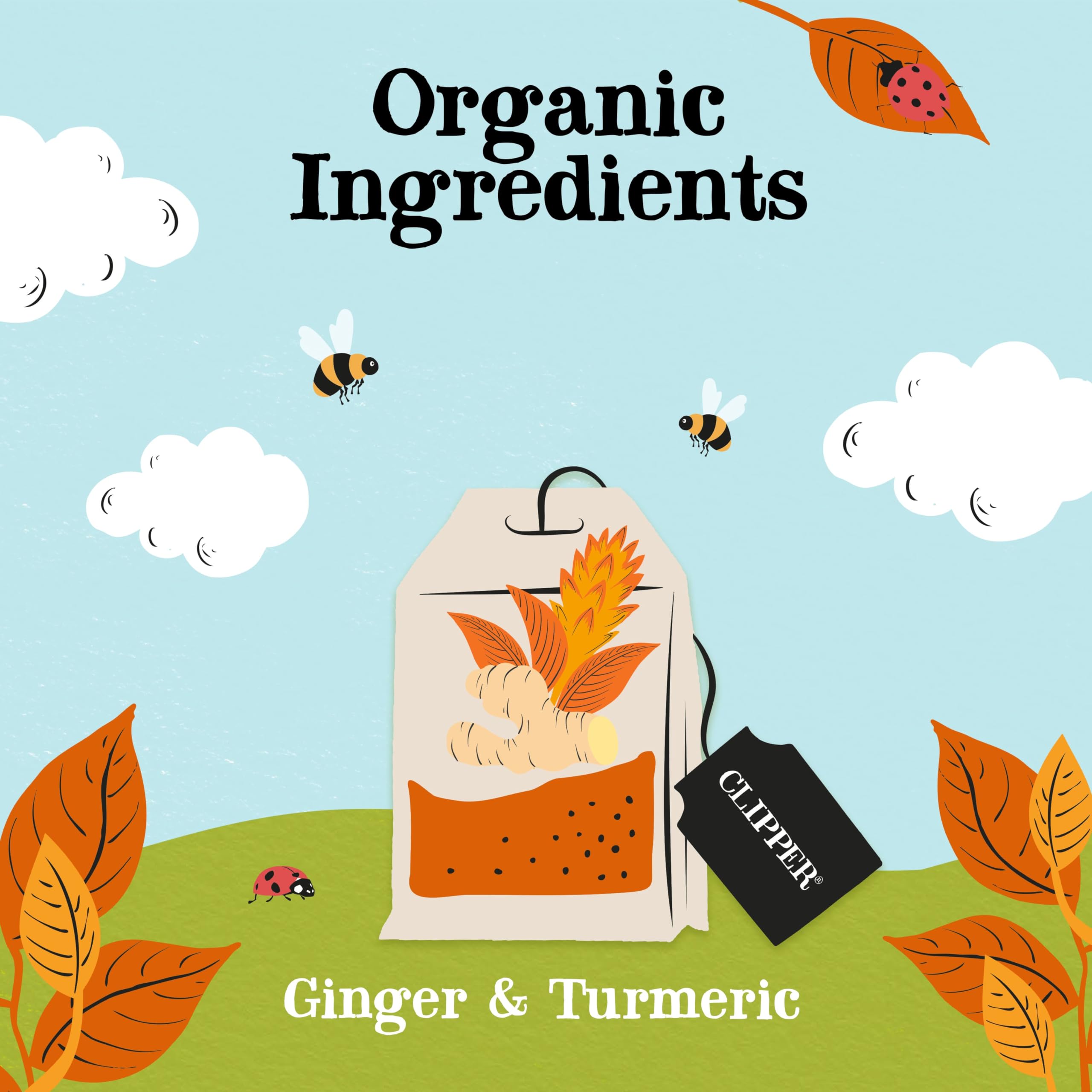 Clipper ginger tea for relaxation