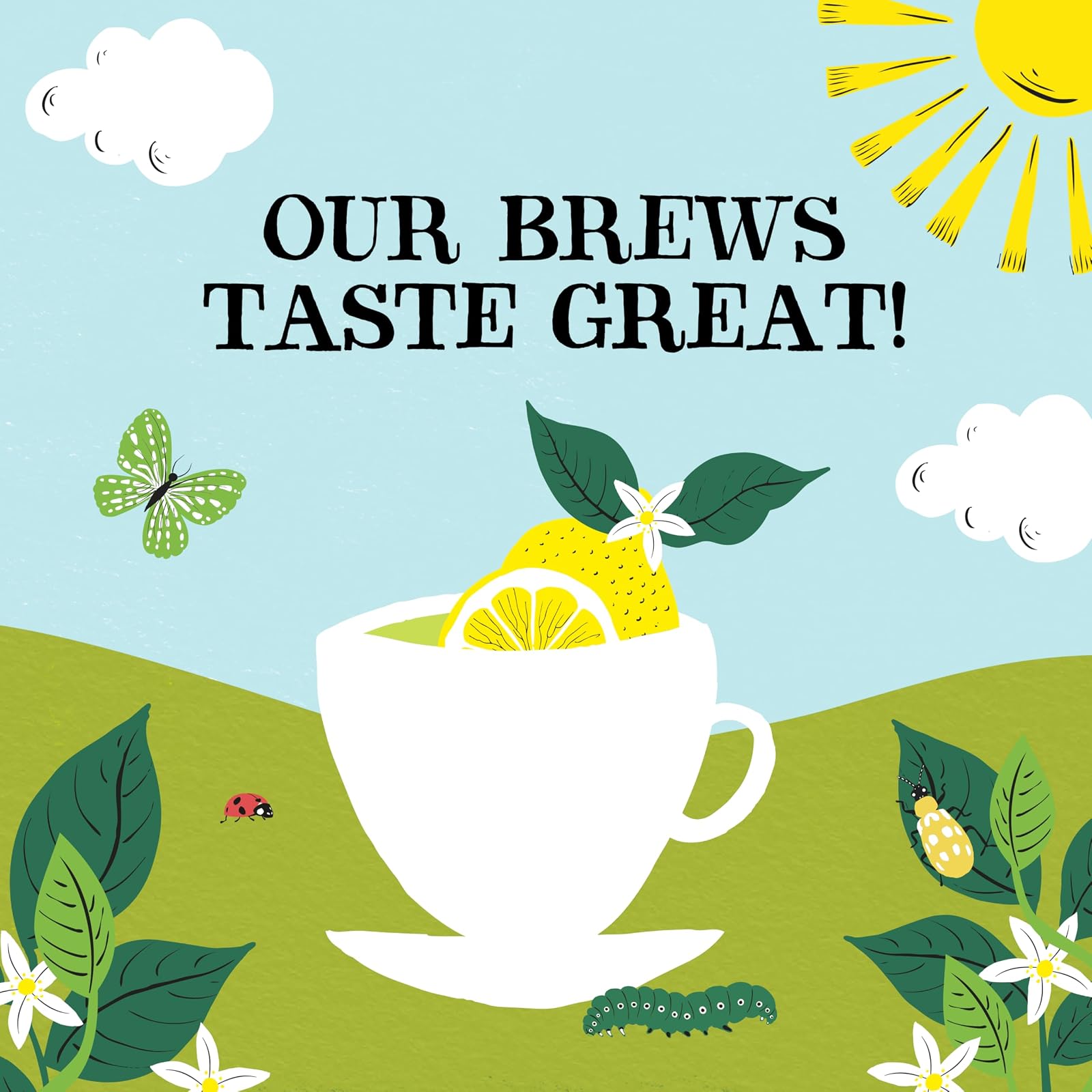 Clipper green tea extract benefits