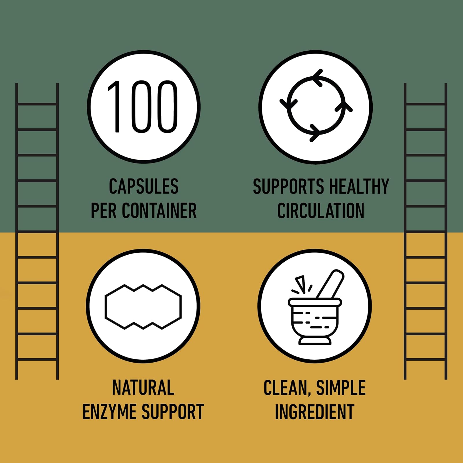 CNP Nattokinase for better digestion