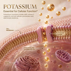 Cocó March potassium for muscle support