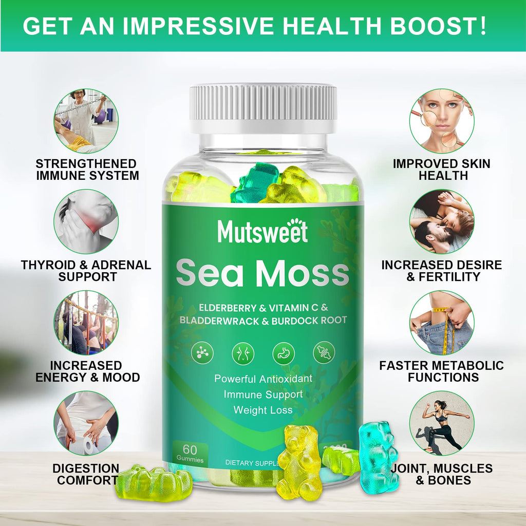 cocoa flavored sea moss mushrooms