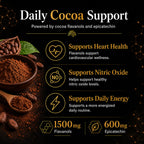 Cocoa powder for enhanced endurance