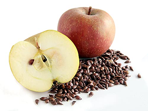 Cocojojo herbal blends for hair