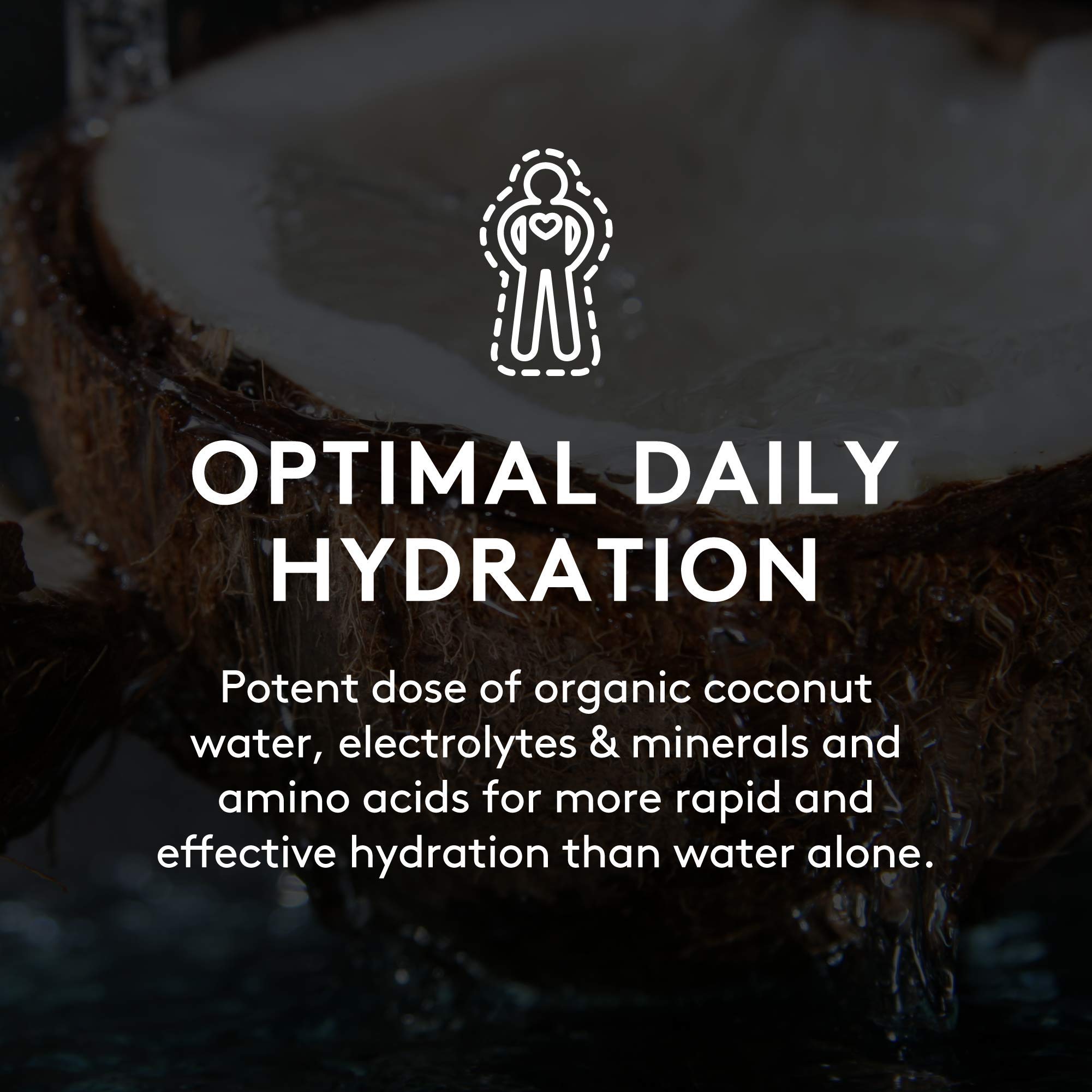 coconut water and elderberry blend