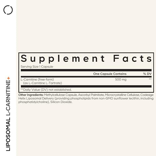 Codeage l-carnitine supplement benefits
