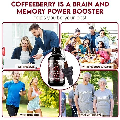 coffee fruit extract for enhanced cognition