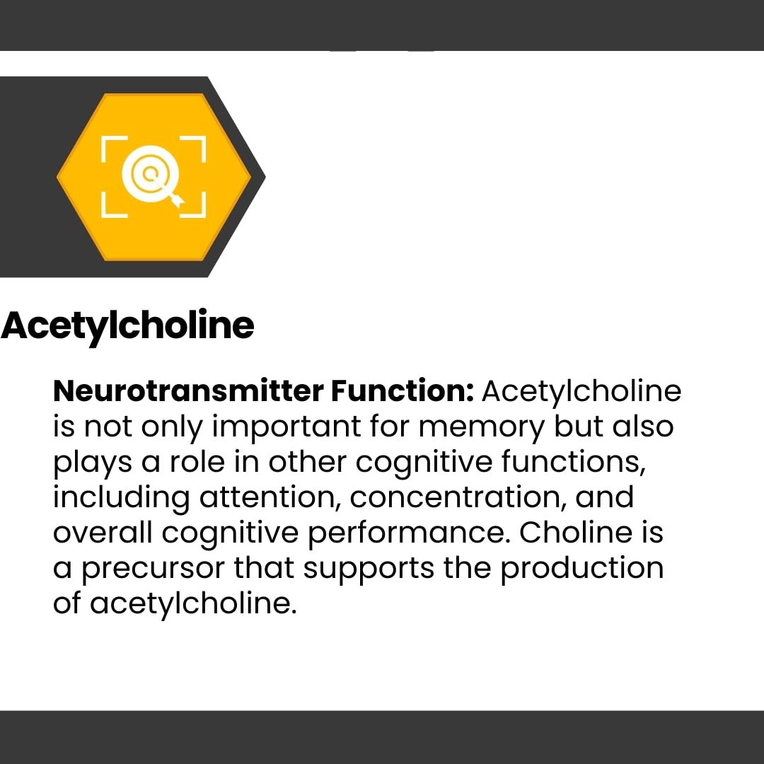 Cognisync cognitive performance booster