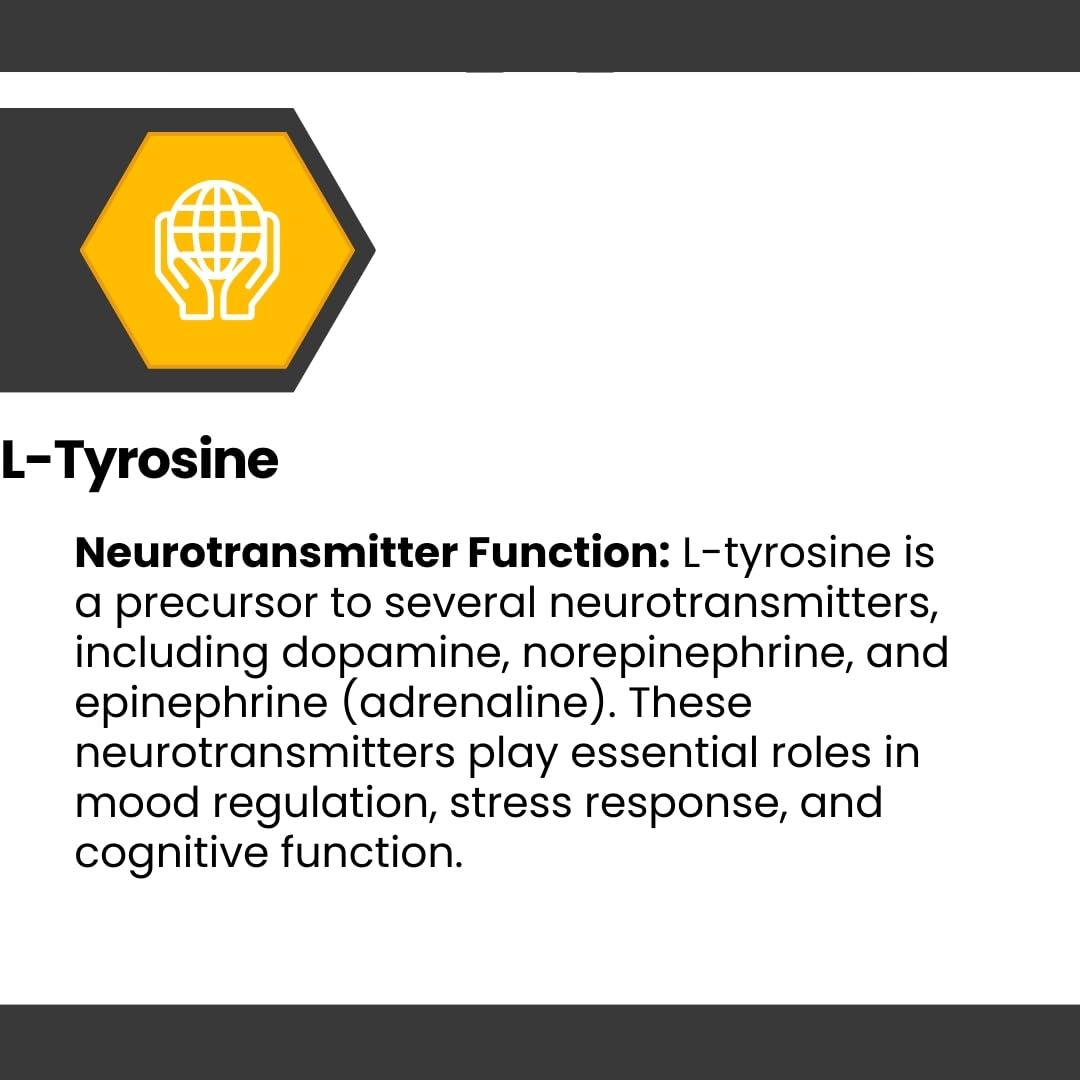 Cognisync nootropic for studying