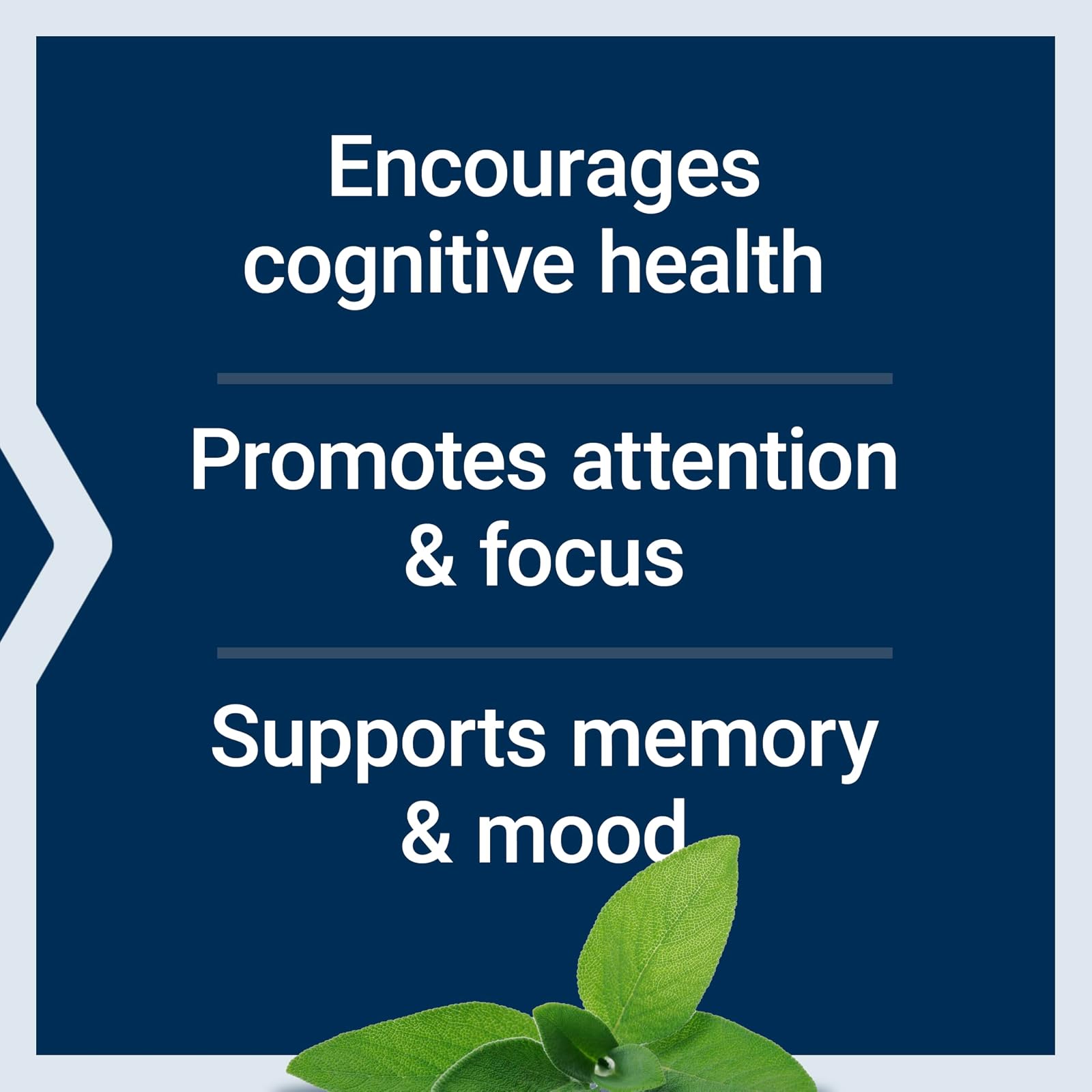 Cognitex Elite multivitamin for men