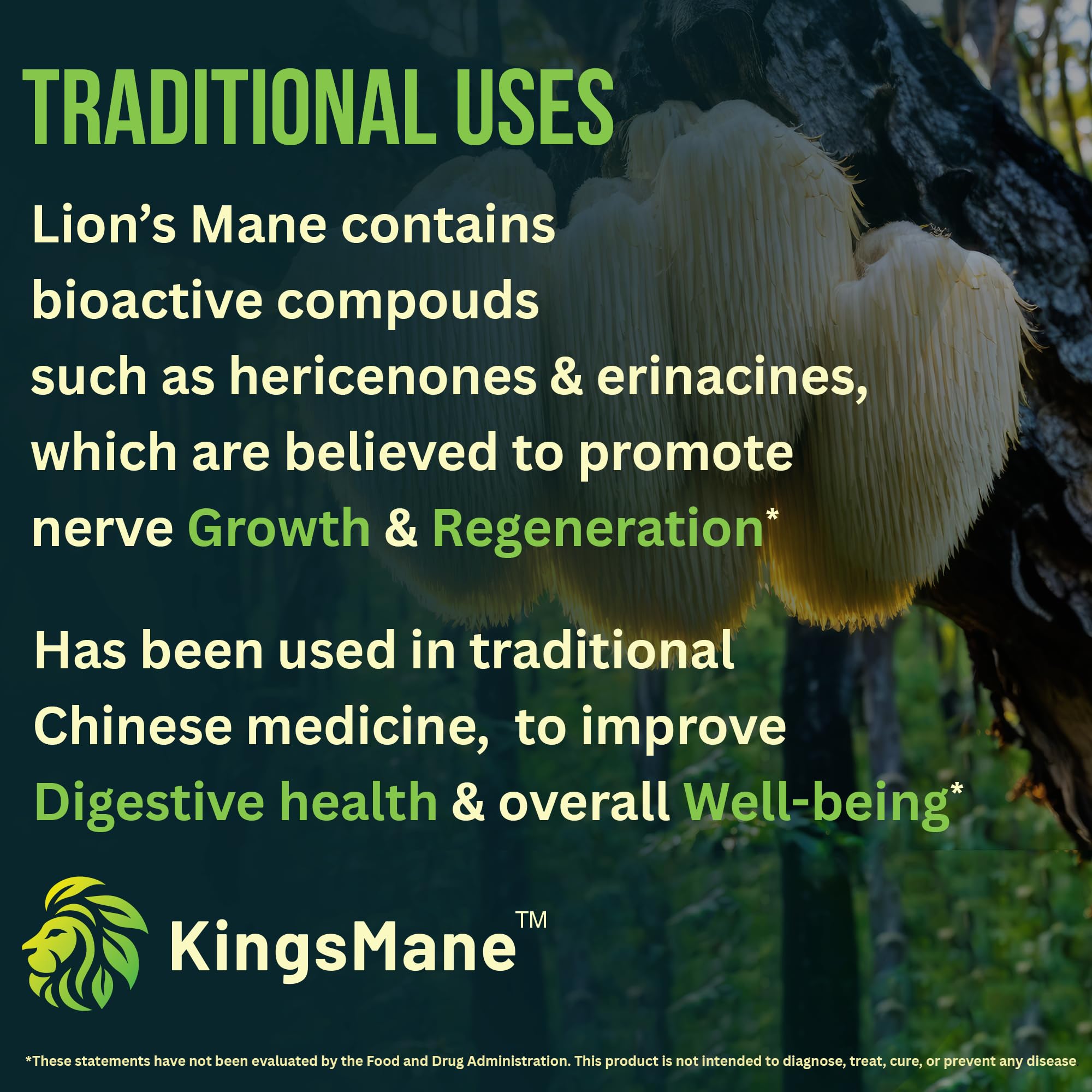 cognitive benefits of lion's mane