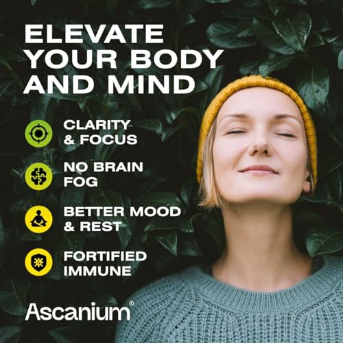 Cognitive clarity with mushroom supplements