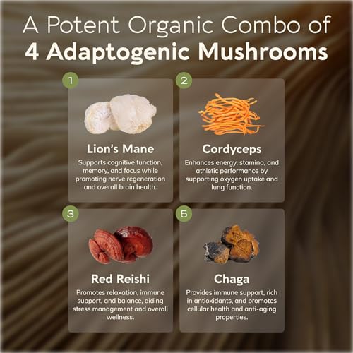 Cognitive enhancement mushroom powder