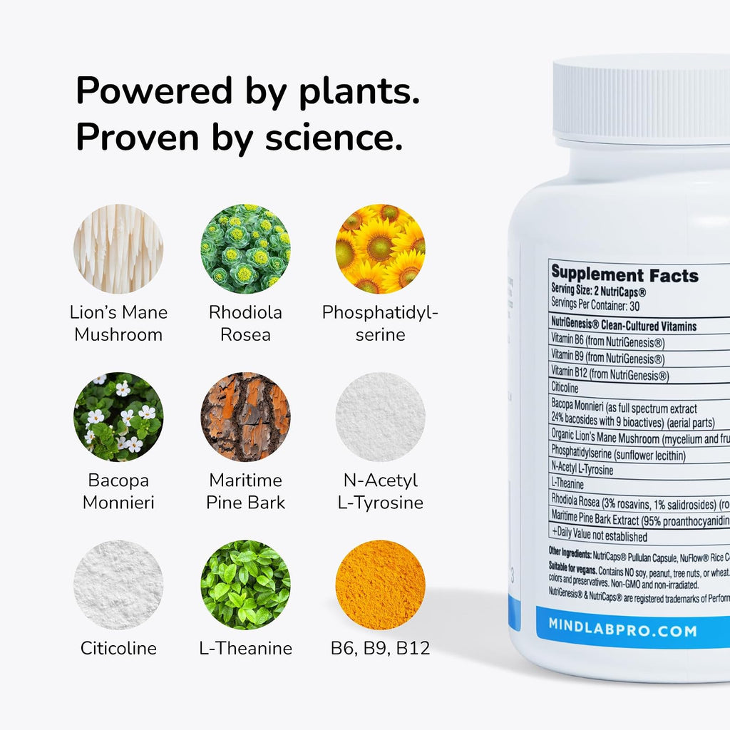 cognitive enhancement supplement for students