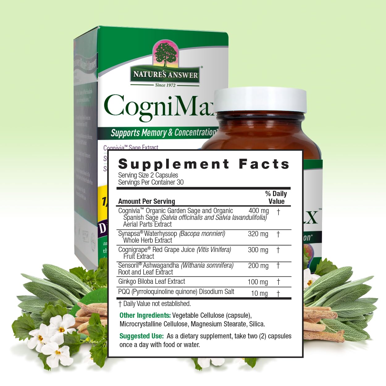 Cognitive enhancement vitamin blend