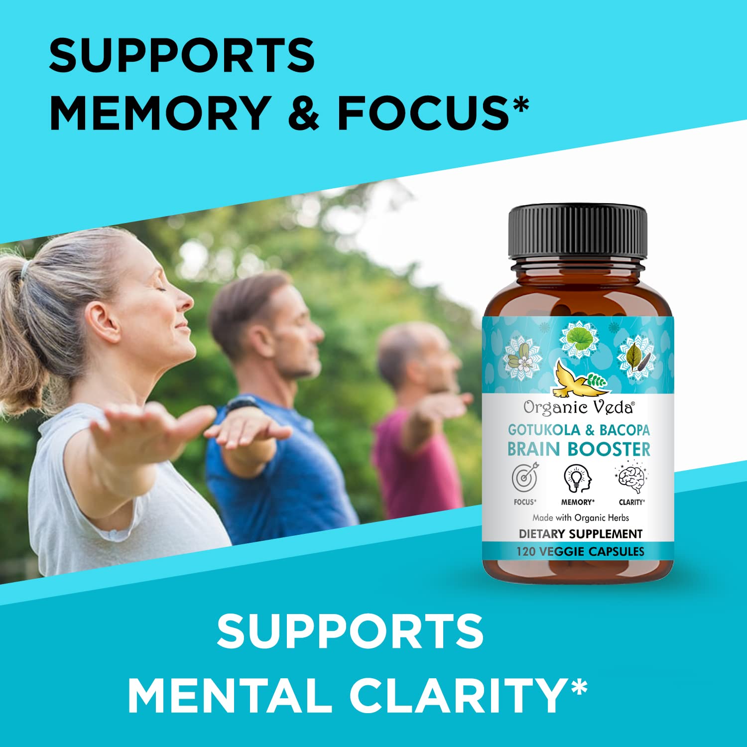 Cognitive enhancement with Bacopa extract