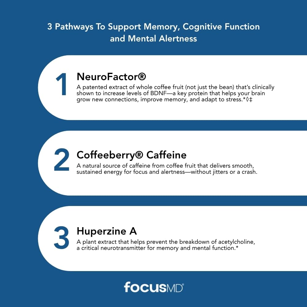 cognitive enhancement with FocusMD