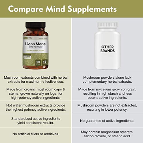 Cognitive enhancement with herbal ingredients