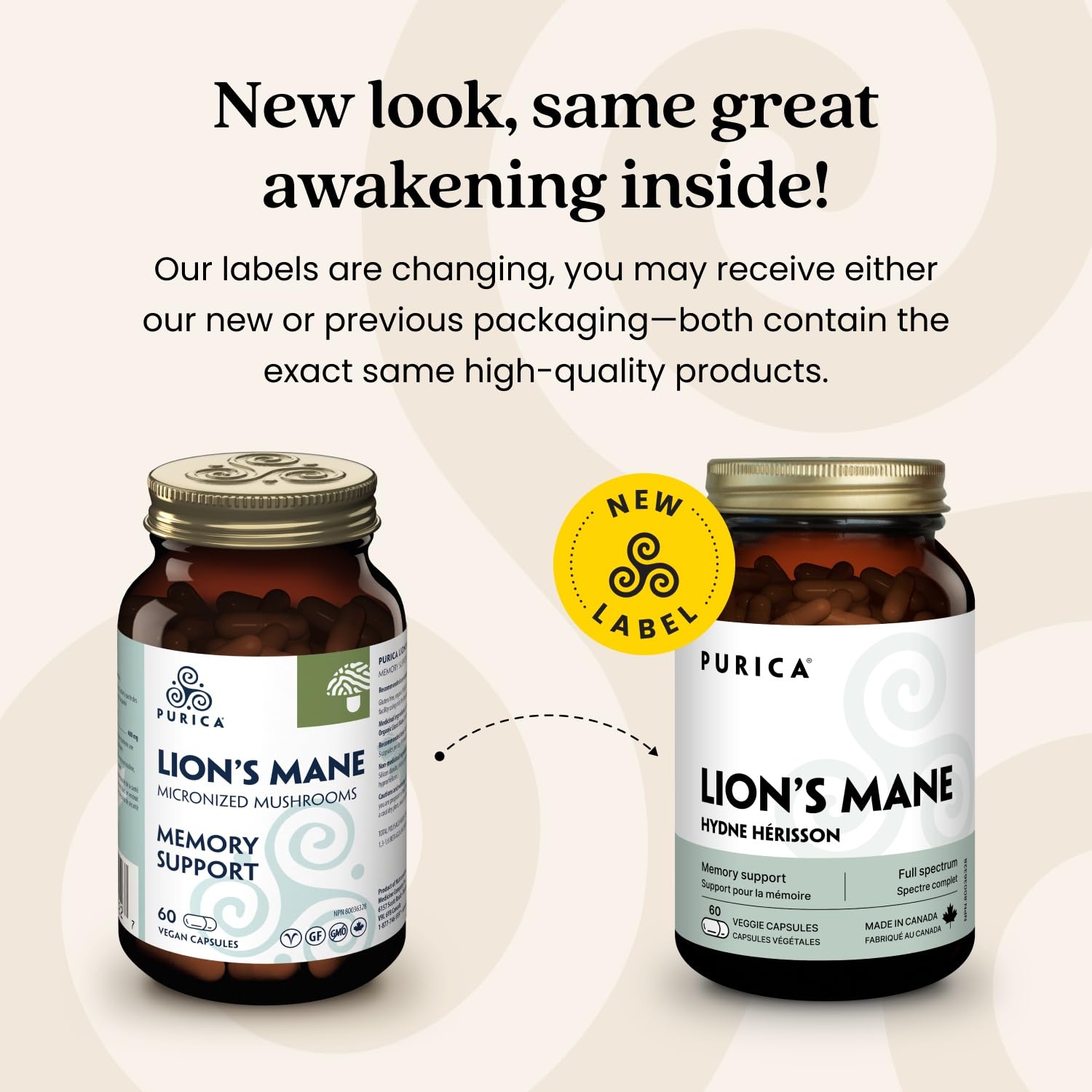 Cognitive enhancement with herbal mushrooms