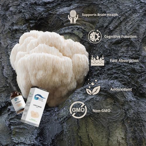Cognitive enhancement with Lion's Mane