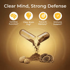 Cognitive enhancement with Lions Mane