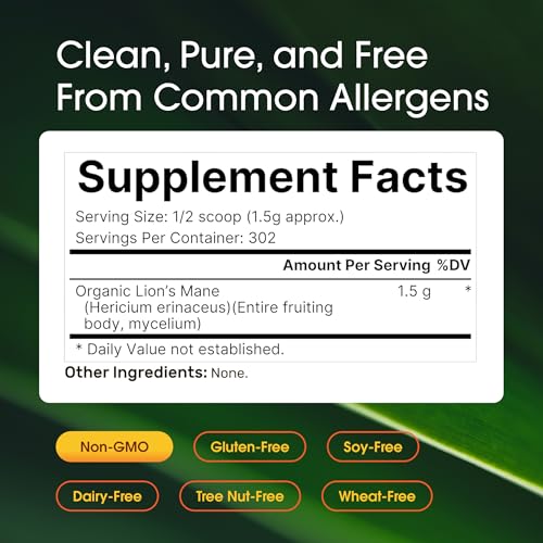 cognitive enhancing mushroom powder