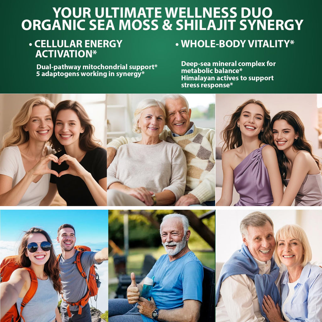 Cognitive function enhancement capsules