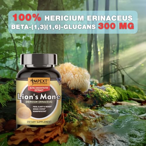 cognitive function supplement with mushrooms