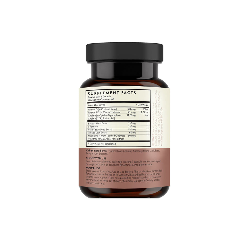 cognitive function support ginkgo biloba