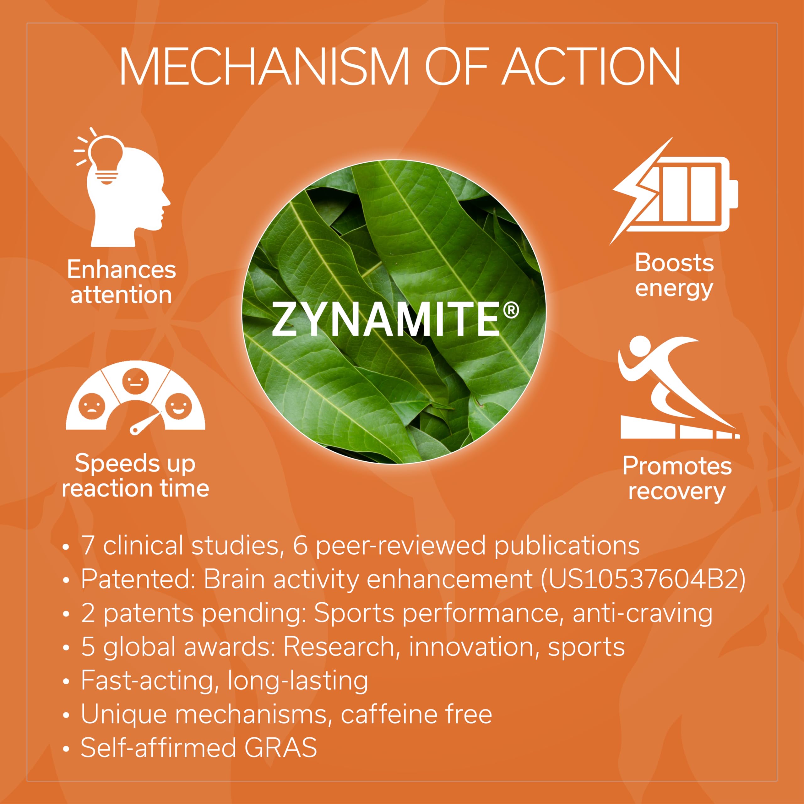 cognitive function support supplements