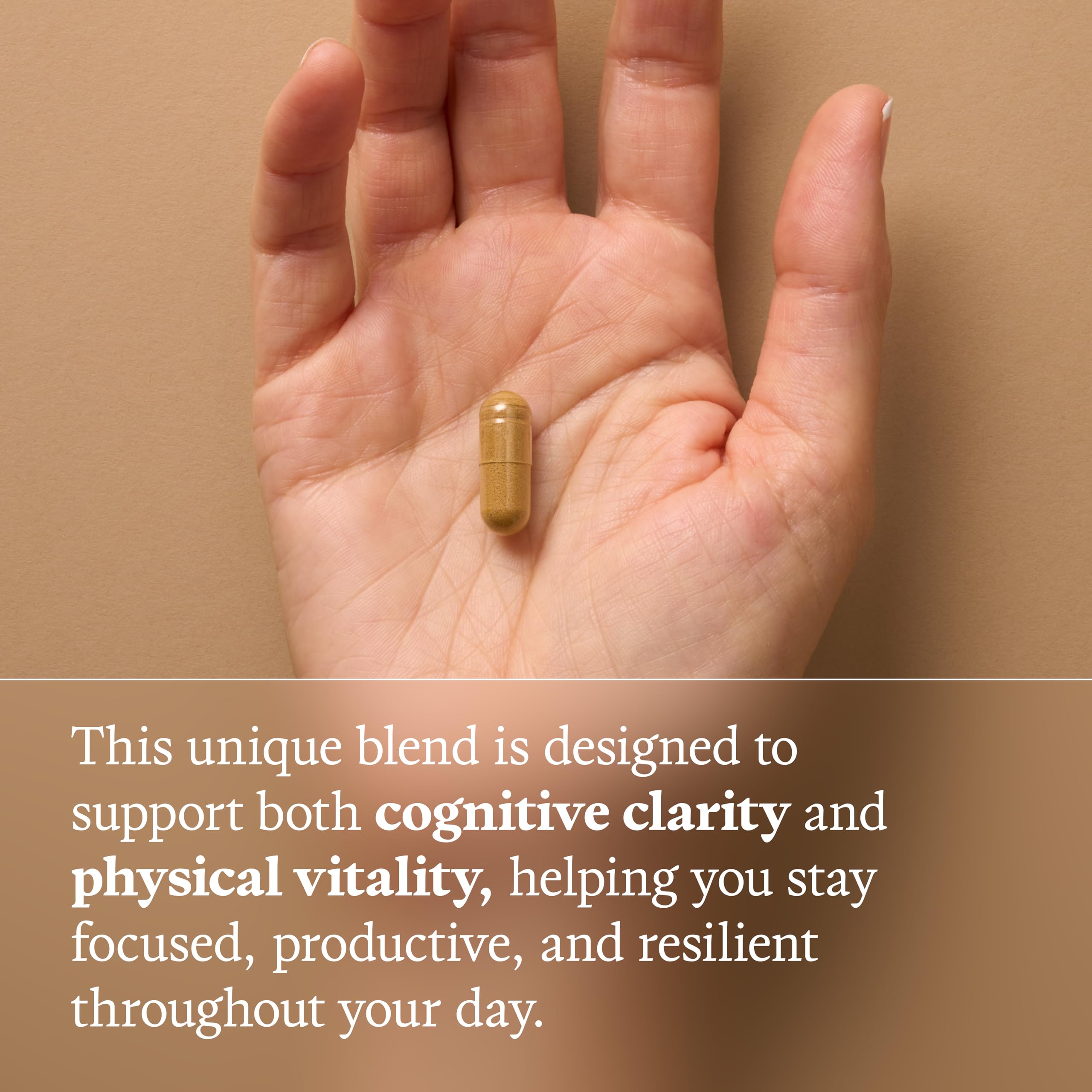cognitive function support with Bacopa