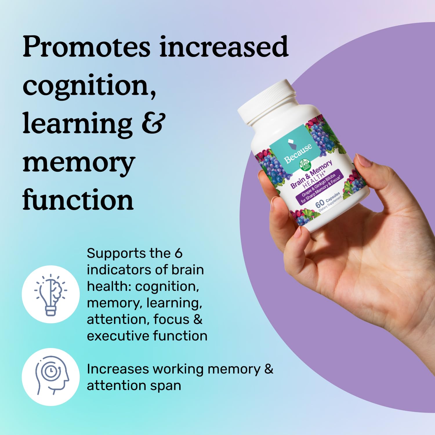 cognitive function support with ginkgo biloba