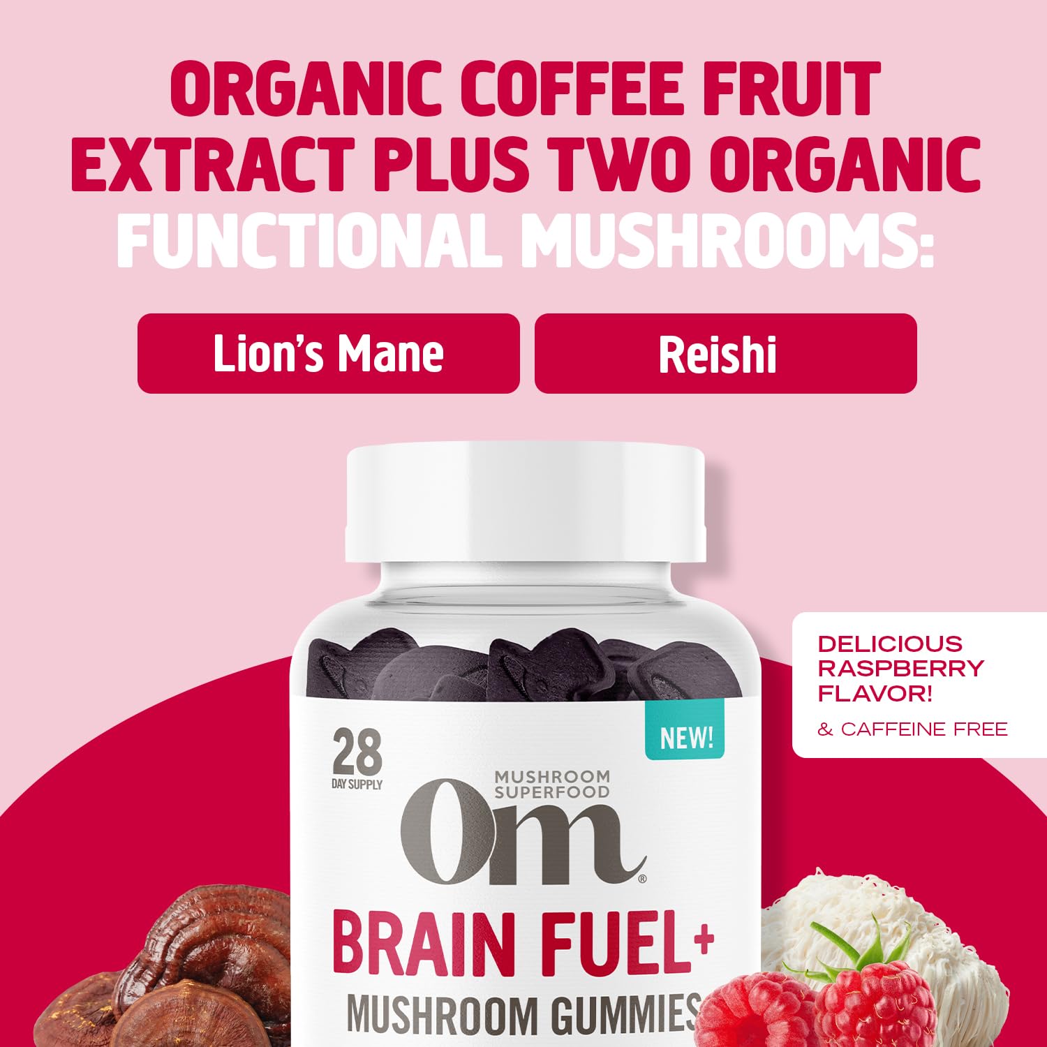 Cognitive function support with Lion's Mane