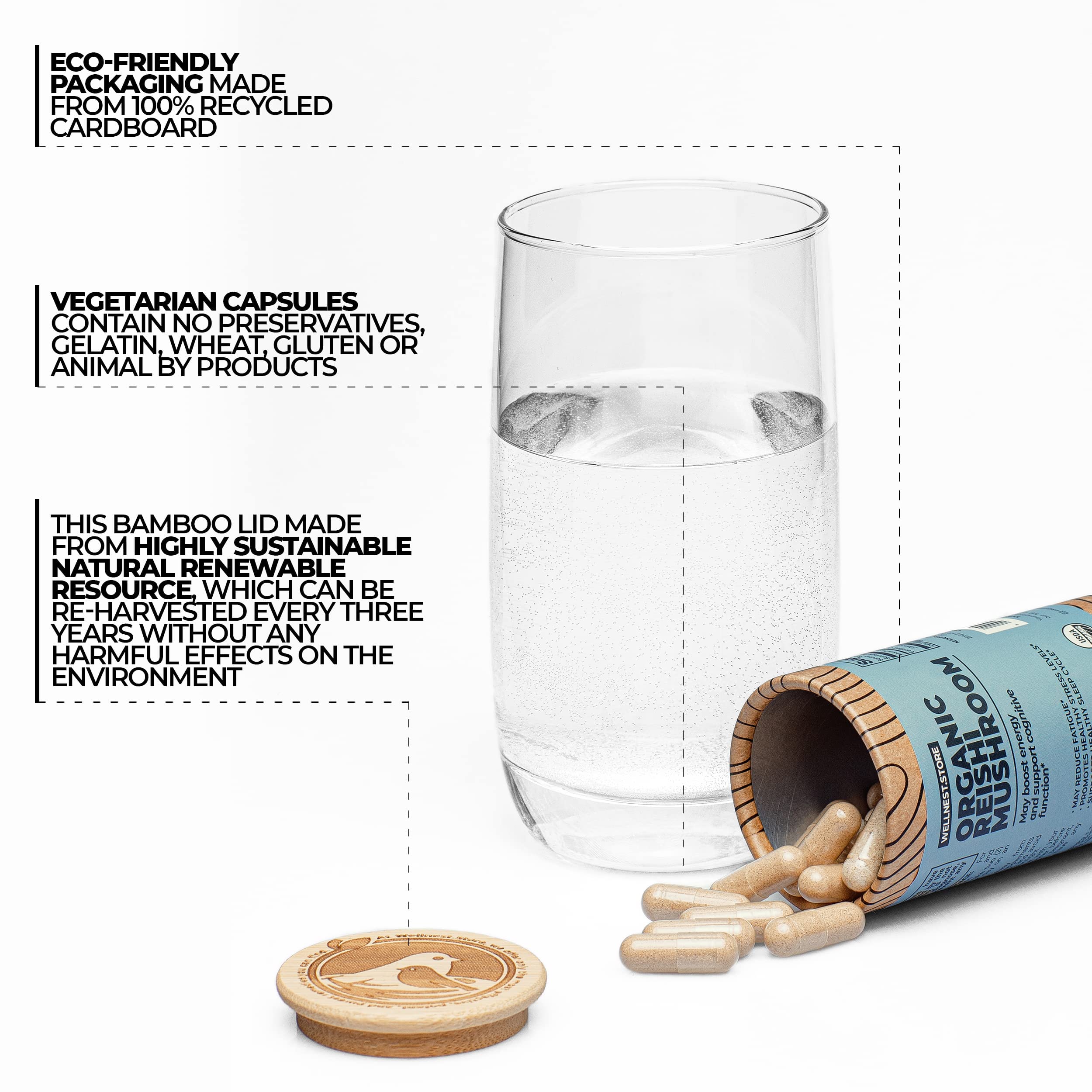 Cognitive function support with mushrooms