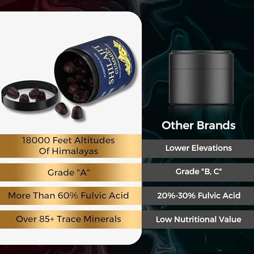 Cognitive function support with Shilajit